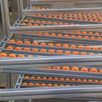 China Metal Carton Flow Rack Gravity Flow Shelf Warehouse Equipment Within Pallet Racking for sale