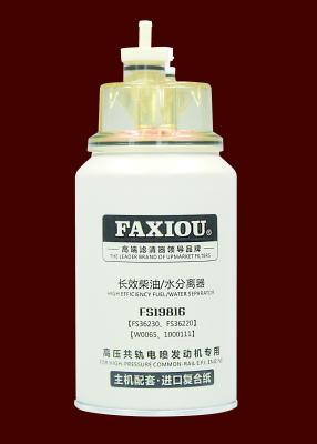 China Diesel Heavy Truck Filter FS19816 ISO Certified,118*280mm,1