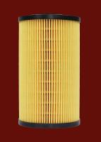 China Environmental Car Oil Filter Element 611600070119 for sale