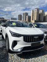 China 2026 Geely Boyue 1.5TD 10th Anniversary Champion Edition - White for sale