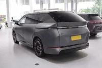 China XPENG X9 for sale