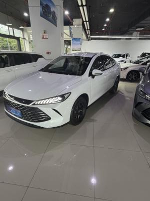 China BYD Qin PLUS DM-i 128KM Progressive for sale
