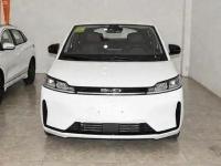 China BYD D1 Compact Electric MPV for sale