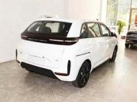 China BYD D1 Compact Electric MPV for sale