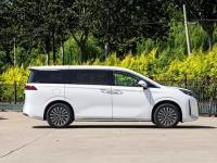 China BYD M9 Plug-in Hybrid MPV for sale