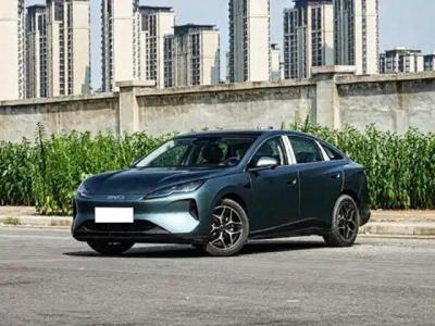 China BYD SEAL 06 for sale