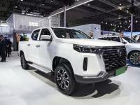China Changan Hunter EV for sale
