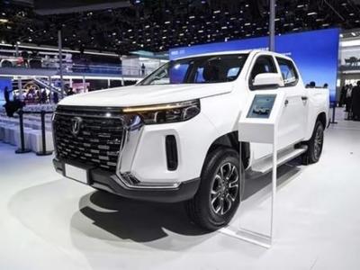 China Changan Hunter EV for sale