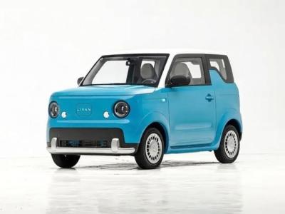 China Livan Blue Balloon Electric City Car for sale