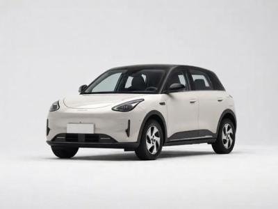 China Geely Xingyuan Electric Hatchback for sale