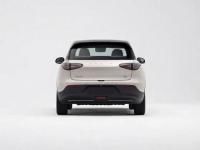 China Geely Xingyuan Electric Hatchback for sale