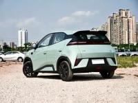 China BYD Seagull for sale