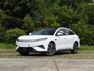 China BYD Qin MAX EV for sale