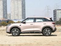 China BYD ATTO 2 for sale