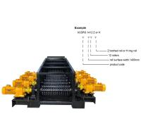 China Coal Roller Screening Machine 1050TPH Roller Screen for Mining Industry for sale