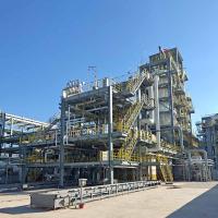 China Natural Circulation Waste Incineration Boiler Pump Free Upgrade And Easy Maintenance for sale