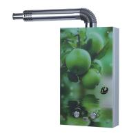 China Indoor Digital Instant Tankless Gas Water Heater For Whole House for sale