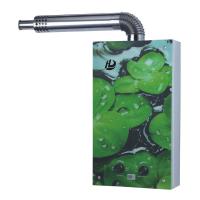 China Tempered Glass Panel 12 Liter Gas Water Heater Flue Type Elegant Home Format for sale