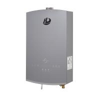 China Precise Water Temperature Energy Efficient Gas Hot Water Heater Natural Gas Water Heater Quiet Operation for sale