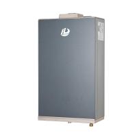 China Smart Tankless Gas Water Heater 10L 12L 14L 16L With Forced Exhaust / Touch Control Panel for sale