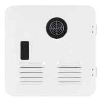 China 12V Tankless RV Water Heater Propane 42000 65000 BTU Instant On Demand Caravan Camper Heating for sale