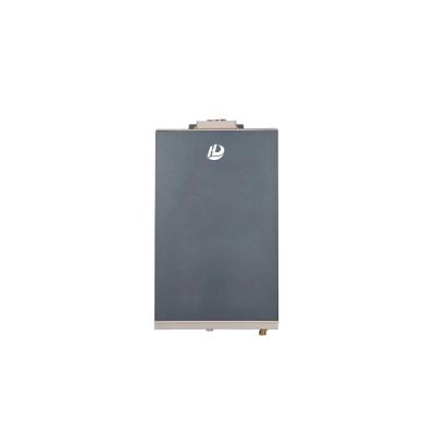 China Smart Tankless Gas Water Heater 10L 12L 14L 16L With Forced Exhaust / Touch Control Panel for sale