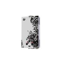 China Efficient 8 Liter Vented Flue Gas Water Heater Low Pressure Quick Start Operation for sale