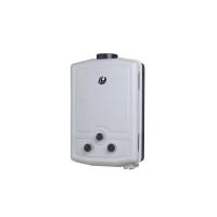 China Clear Display 10 Liter Stable Flue Gas Water Heater Rural Performance Application for sale