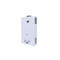 China Optimized 16 Liter Modern Flue Gas Water Heater Airtight Fire Power Ignition for sale