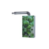 China Household Flue Gas Water Heater 14L Copper Heat Exchanger Compact Unit for sale