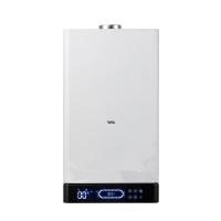 China Bathroom Combination Gas Boiler , Domestic Hot Water Gas Boiler With Central Heating for sale