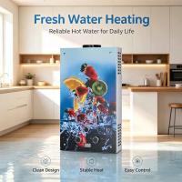China 20KW Heat Output LPG Natural Draft Gas Water Heater Smooth Exhaust System for sale