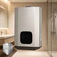China OEM Forced Exhaust Gas Water Heater 10L 12L Household Instant Gas Water Heater for sale