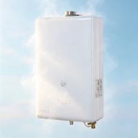 China 13L Forced Exhaust Gas Water Heater On Demand Custom Standard Noise Reducing for sale