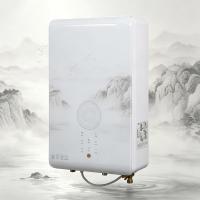 China Anti Freeze 12L Forced Exhaust Gas Water Heater Digital Adjustable Quiet Operation for sale