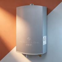 China Precise Water Temperature Energy Efficient Gas Hot Water Heater Natural Gas Water Heater Quiet Operation for sale