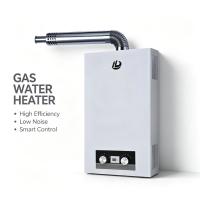 China Energy Saving Low Pressure On Demand Tankless Gas Water Heater 14L for sale