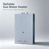 China 12 Liter LPG Propane Gas Instant Wall Mounted Water Heater Flue Type Universal for sale