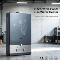 China Low Pressure Flue Gas Water Heater 10L LCD Wall Mounted For Home for sale