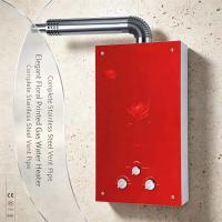 China Red Tempered Glass Flue Gas Water Heater 12 Liter Wall Mounted Gas Water Heater for sale
