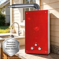 China Red Tempered Glass Flue Gas Water Heater 12 Liter Wall Mounted Gas Water Heater for sale