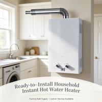 China Flue Gas Instant Water Heater 10L Compact Overheat Safe Indoor Gas Hot Water Heater for sale
