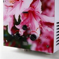 China Low Noise 8 Liter Pulse Ignition Flue Gas Water Heater Electrical Automatic Start for sale