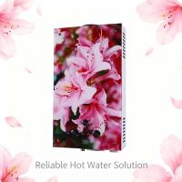 China Low Noise 8 Liter Pulse Ignition Flue Gas Water Heater Electrical Automatic Start for sale