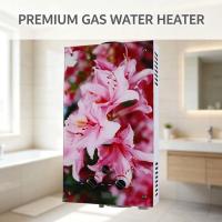 China Low Noise 8 Liter Pulse Ignition Flue Gas Water Heater Electrical Automatic Start for sale