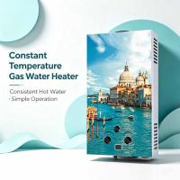 China 12 Liter 110V Precise Flue Gas Water Heater Temperature Control Wall Hanging Type for sale