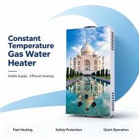China 10 Liter Wide Temperature Range Flue Gas Water Heater LPG High Pressure Resistant for sale