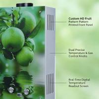 China Flame Failure Protection 16 Liter LPG Instant Tankless Water Heater Domestic Use for sale