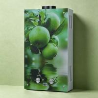 China Flame Failure Protection 16 Liter LPG Instant Tankless Water Heater Domestic Use for sale