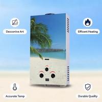 China Low Gas Usage 20 Liter Gas Leakage Proof Gas Instant Hot Water System Battery Operated for sale
